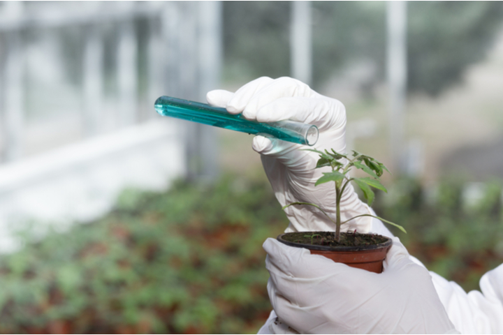 Agrochemicals – Everything you Need to Know About Them