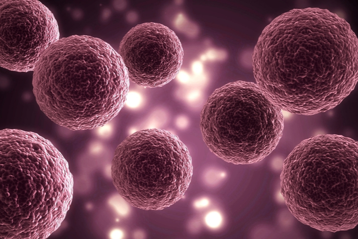 An Overview of the Two Most Popular & Progressive Techniques in 3D Cell ...